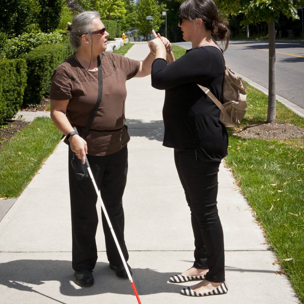 What is an Intervenor | DBCS